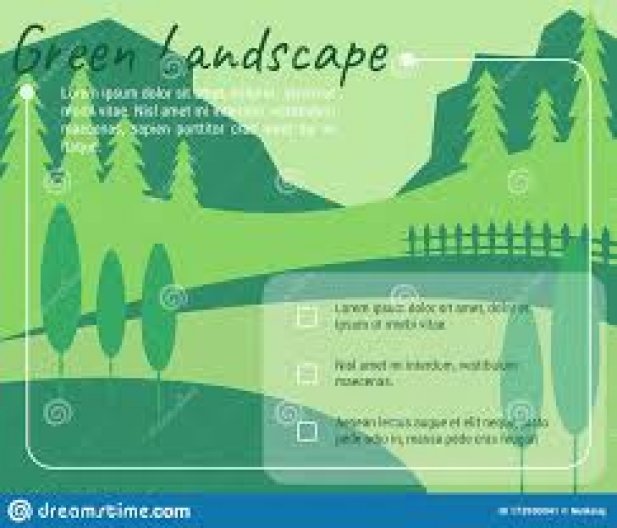 Maintenance of The Landscape Article - ArticleTed - News and Articles